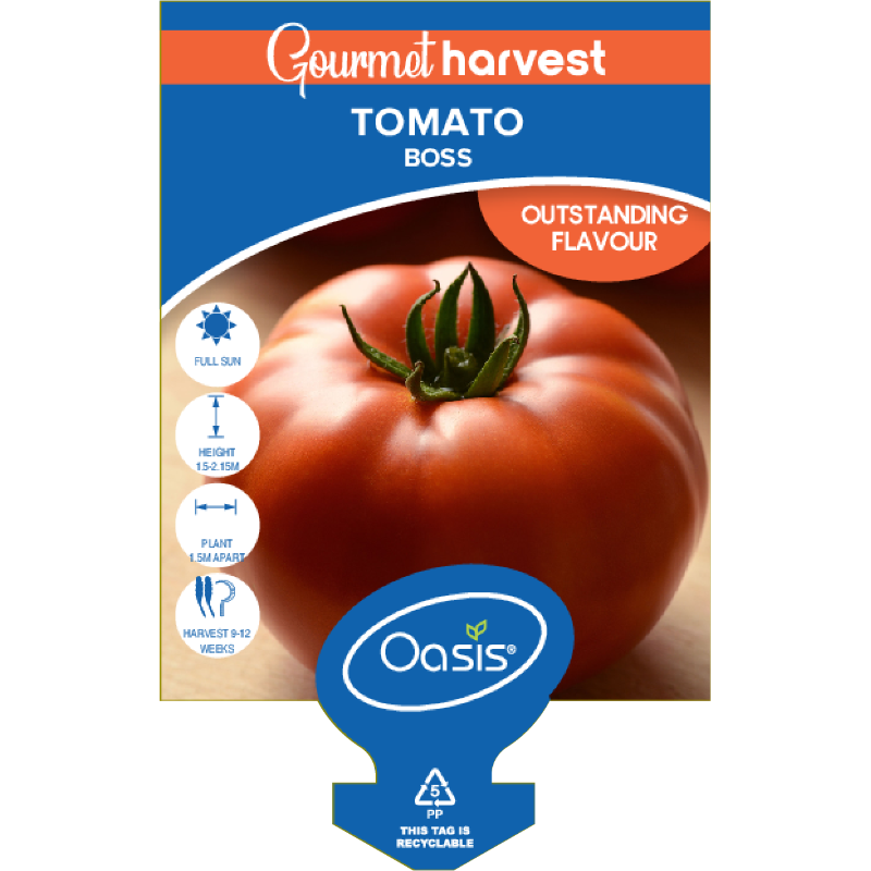 Oasis Horticulture | TOMATO BOSS GOURMET HARVEST 125MM POT