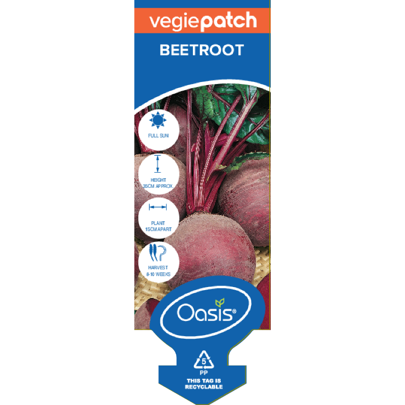 Oasis Horticulture | BEETROOT VEGIE PATCH PUNNET