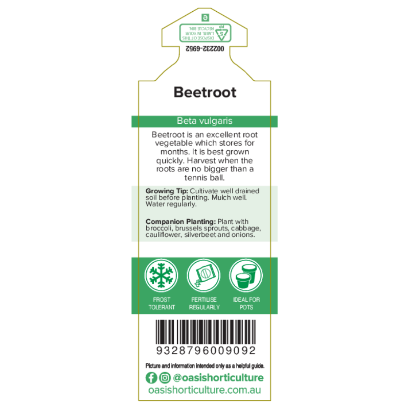 Oasis Horticulture | BEETROOT VEGIE PATCH PUNNET